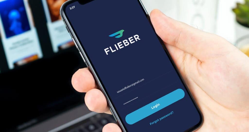 Logo Flieber | Aldeia Comunicação | Agência de Marketing